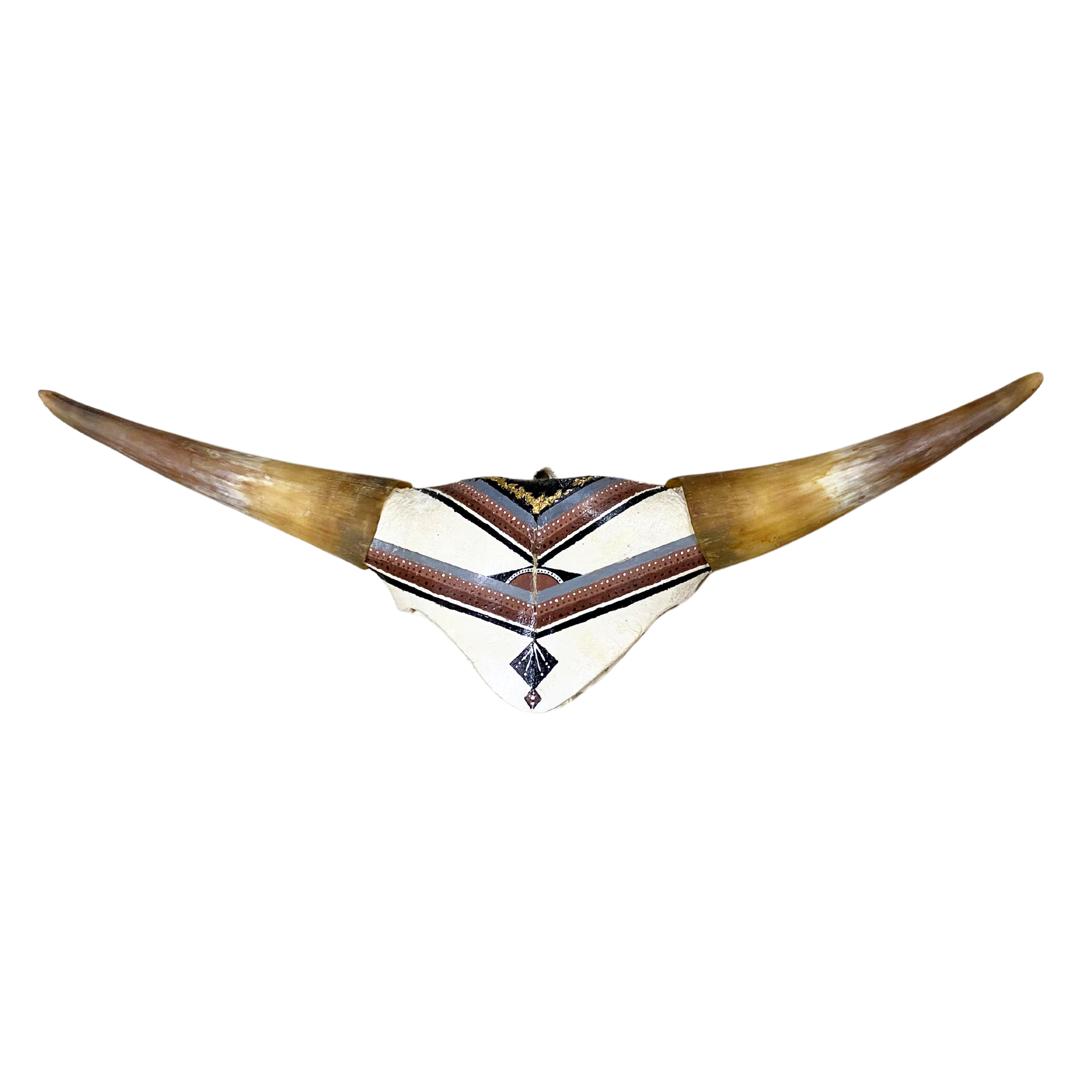 Aztec Painted Half Nguni Skull